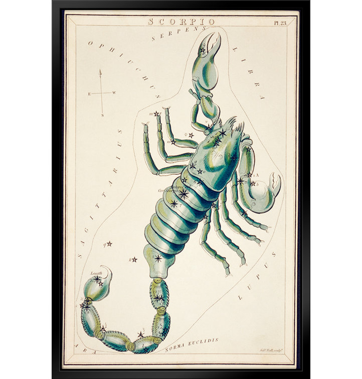 ATX Art Group LLC Astronomical Chart Illustration Of The Scorpio Framed ...