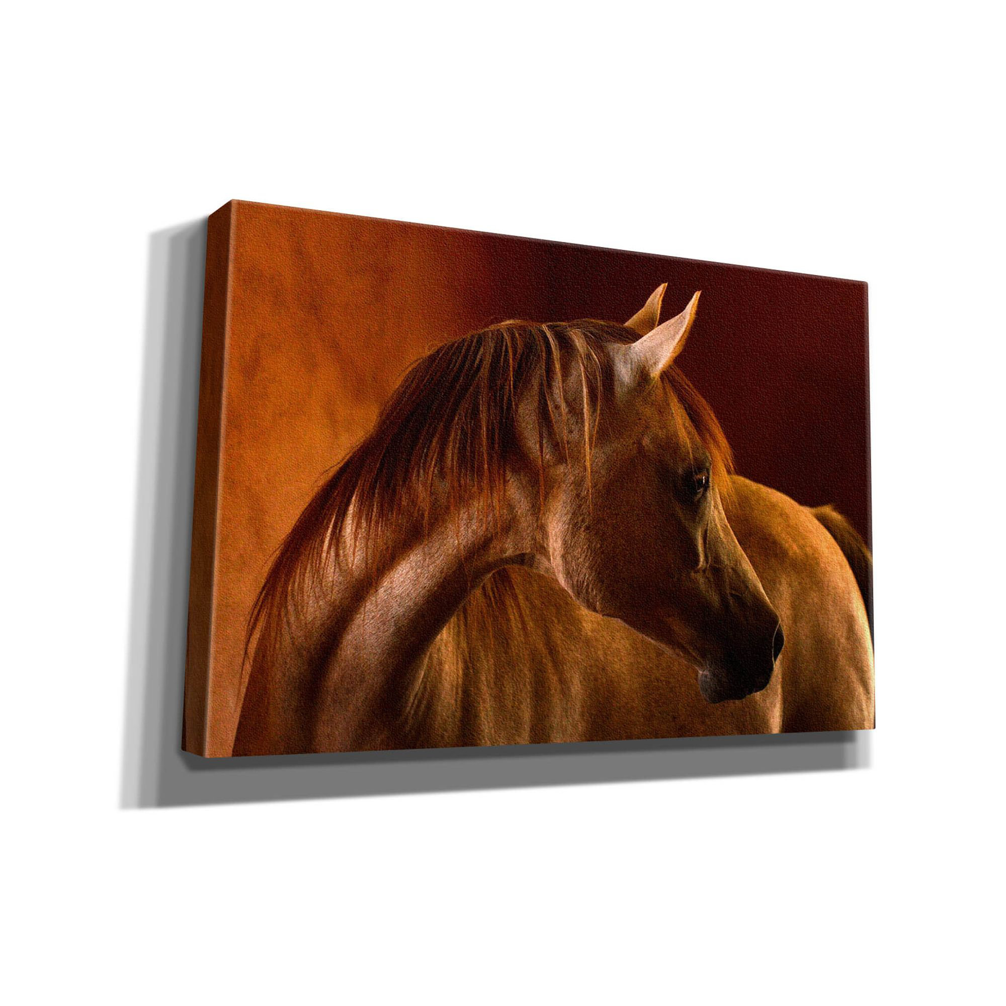 Union Rustic 'Clay' By Tony Stromberg, Canvas Wall Art, 18"X12 ...