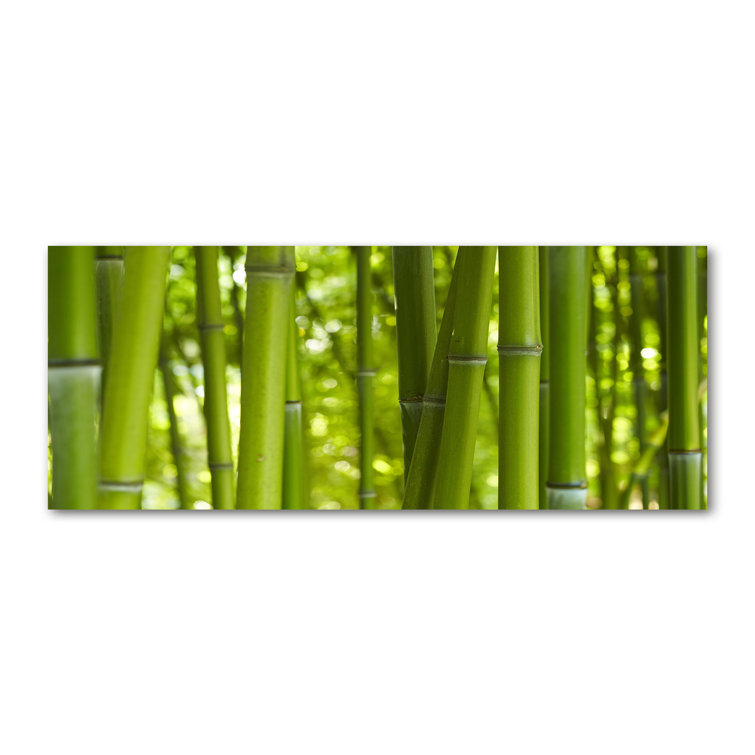 Bay Isle Home Bamboo - Wrapped Canvas Art Prints | Wayfair.co.uk