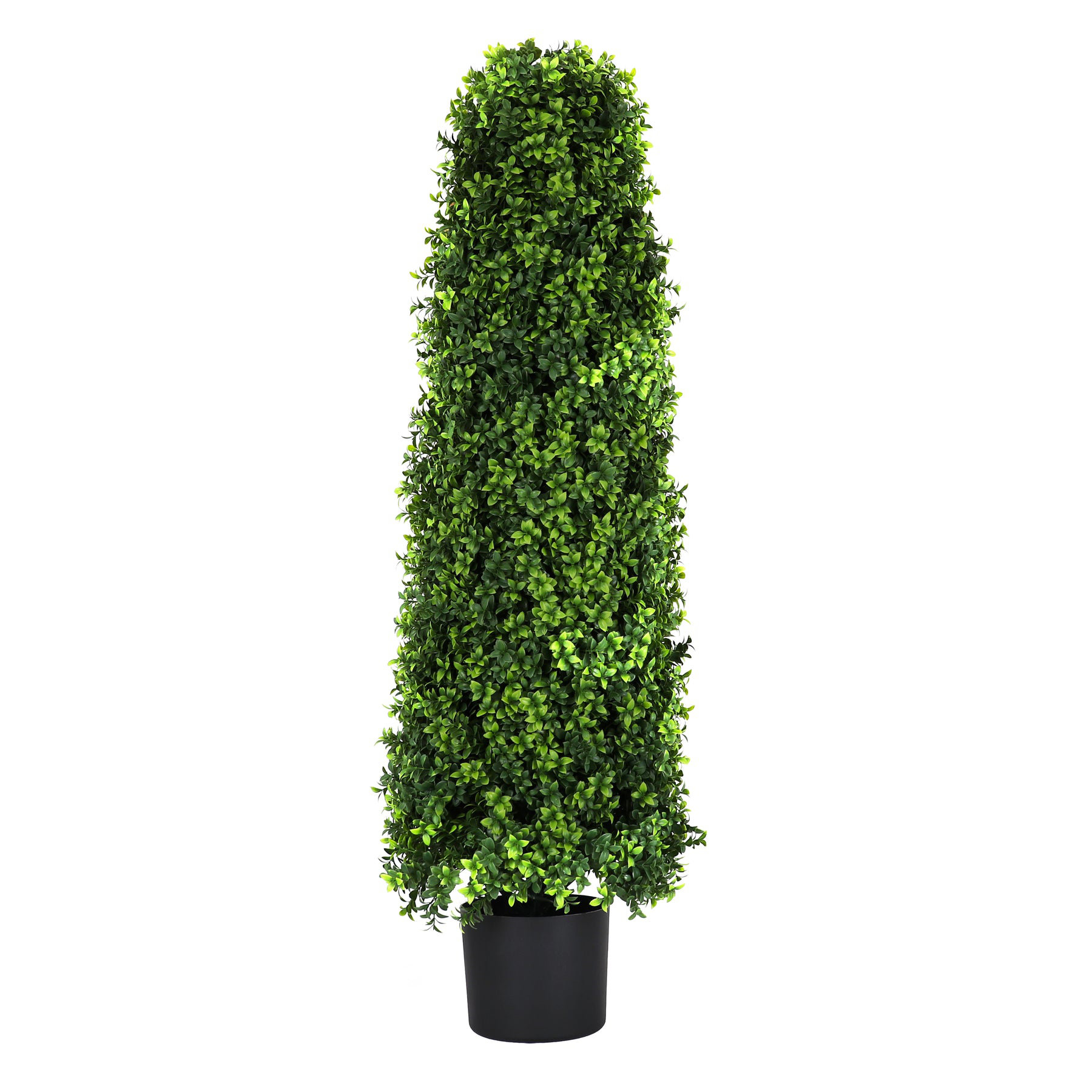 Astoria Grand 4' Tower Tree - English Boxwood | Wayfair
