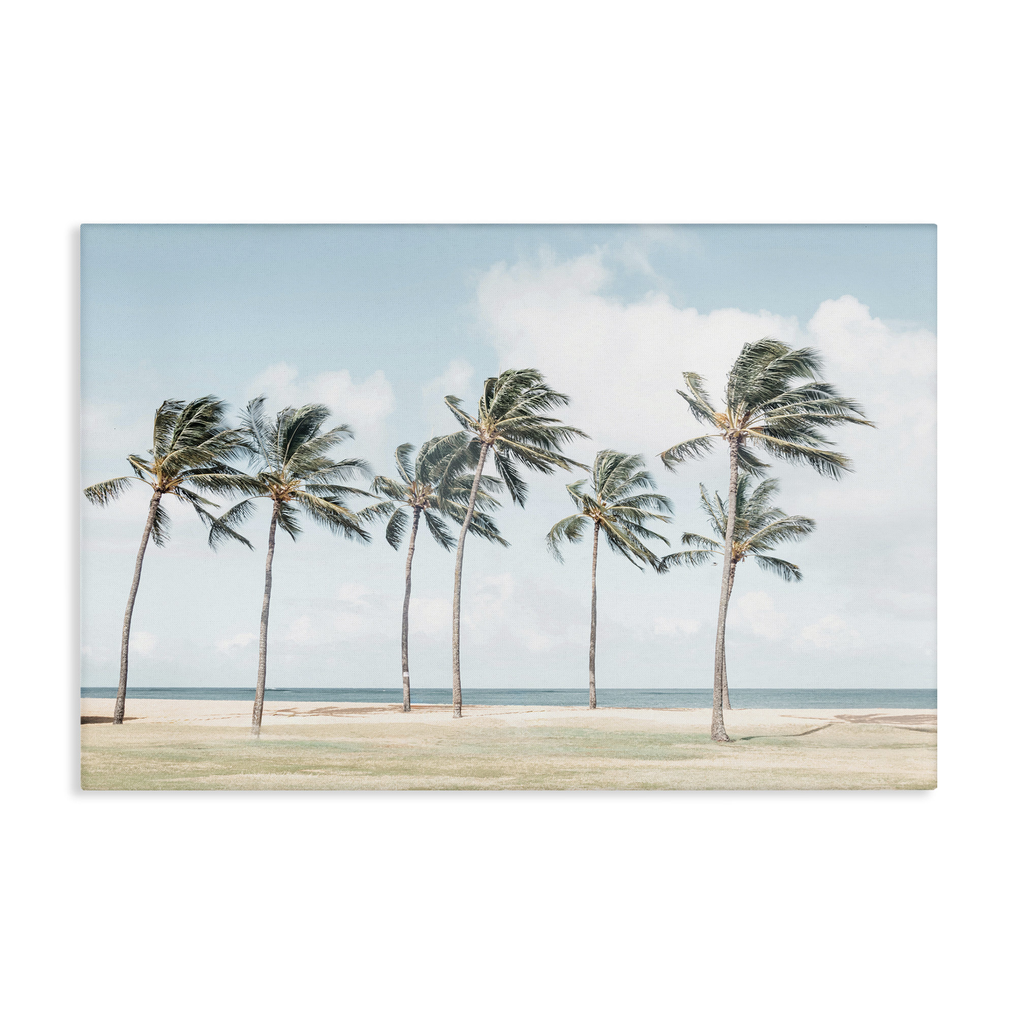 Mercer41 Windswept Palm Trees Canvas Wall Art by Elena Chukhlebova ...