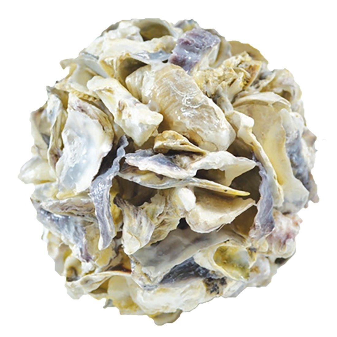 Rosecliff Heights Stowers Oyster Shell Orb & Reviews - Wayfair Canada