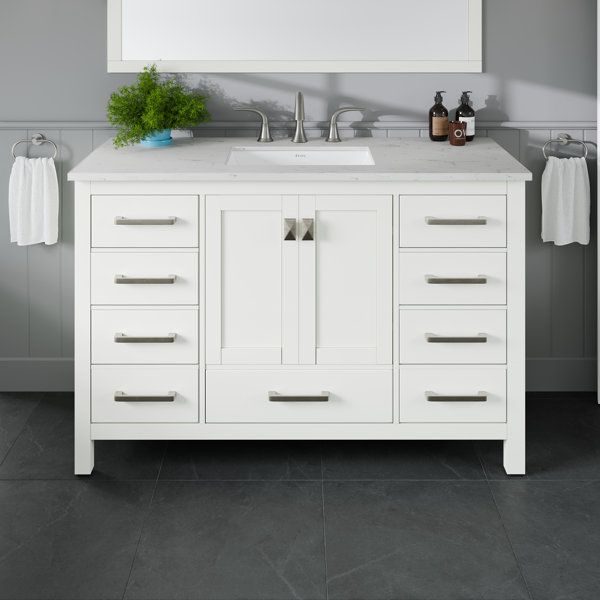 Ebern Designs Minnich 48"W x 22"D Bathroom Vanity with Undermount ...