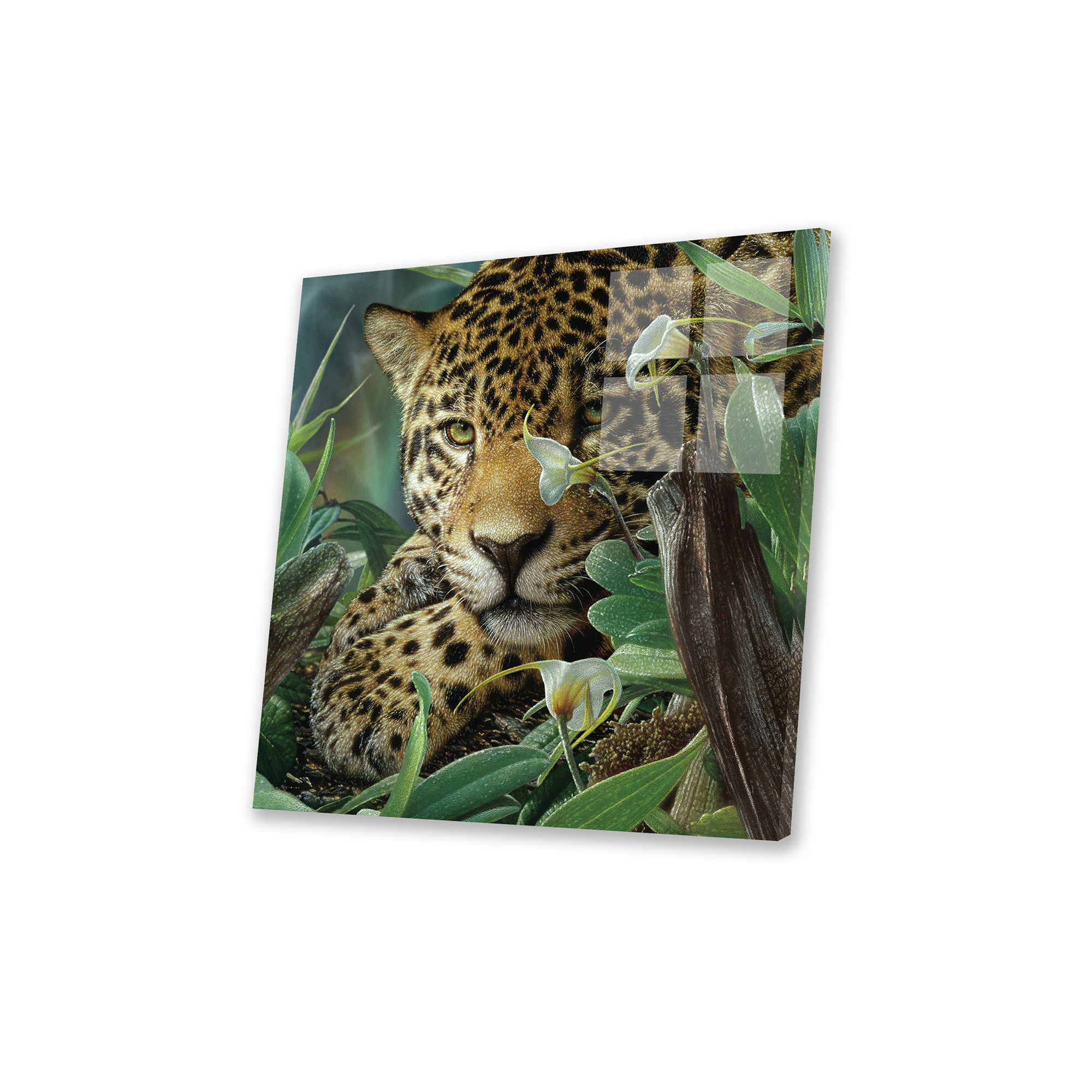 Latitude Run® " Jaguar Haven (Square) " by Collin Bogle - Wayfair Canada
