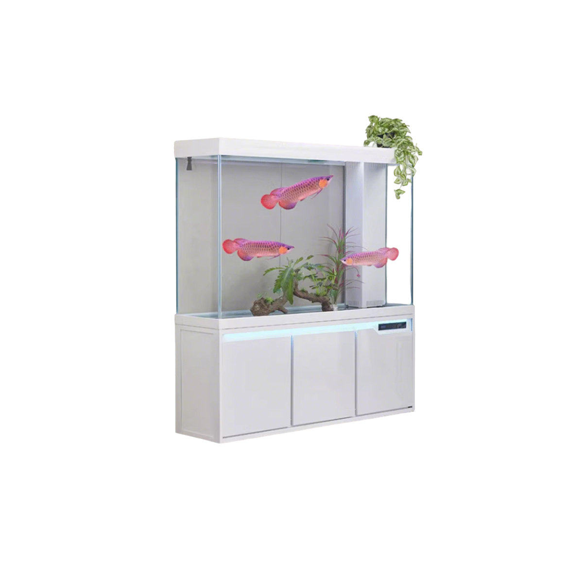 Orren Ellis Modern Minimalist White Ultra-Clear Glass Fish Tank Without ...