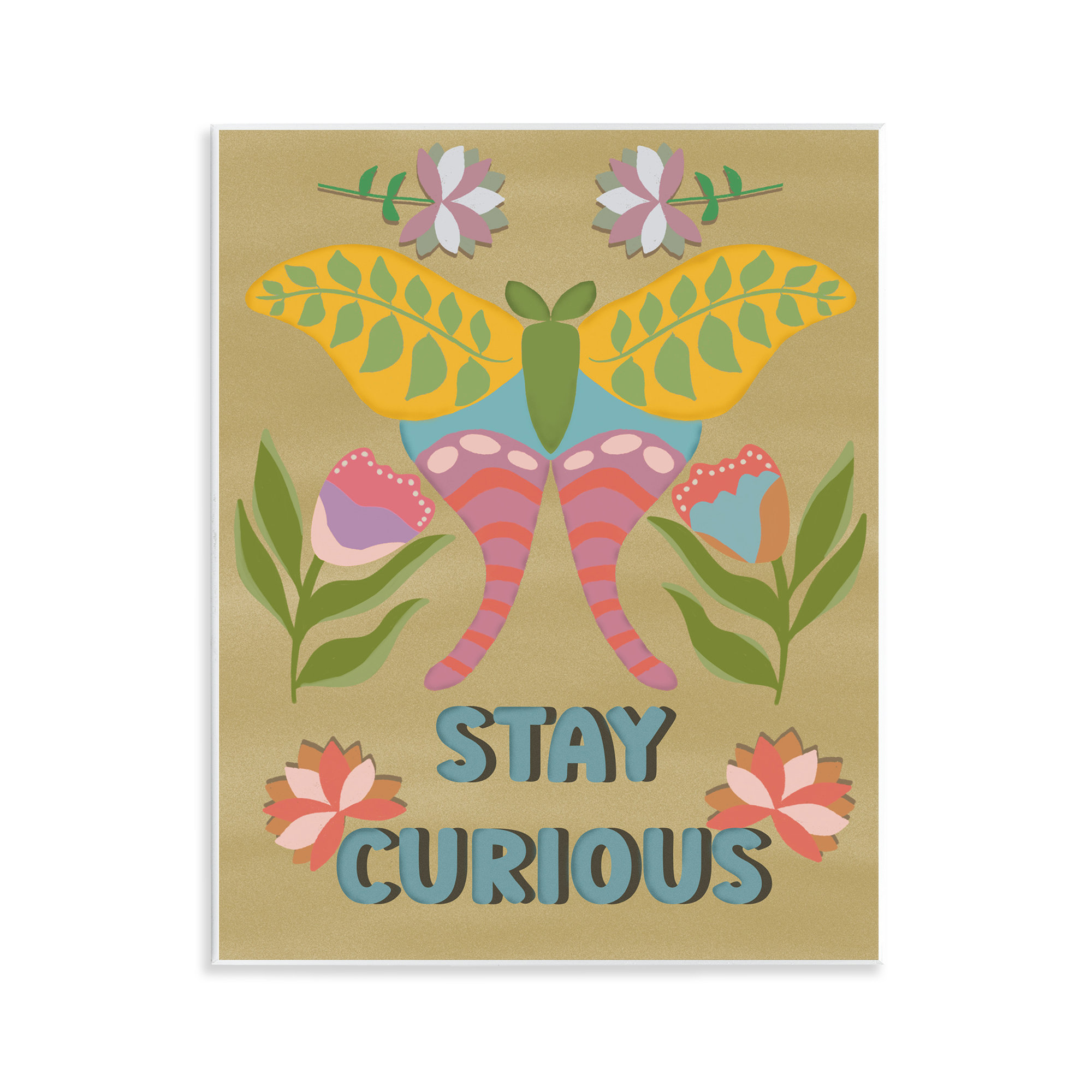 Dakota Fields Stay Curious Butterfly Wall Plaque, design by Julia Fox ...
