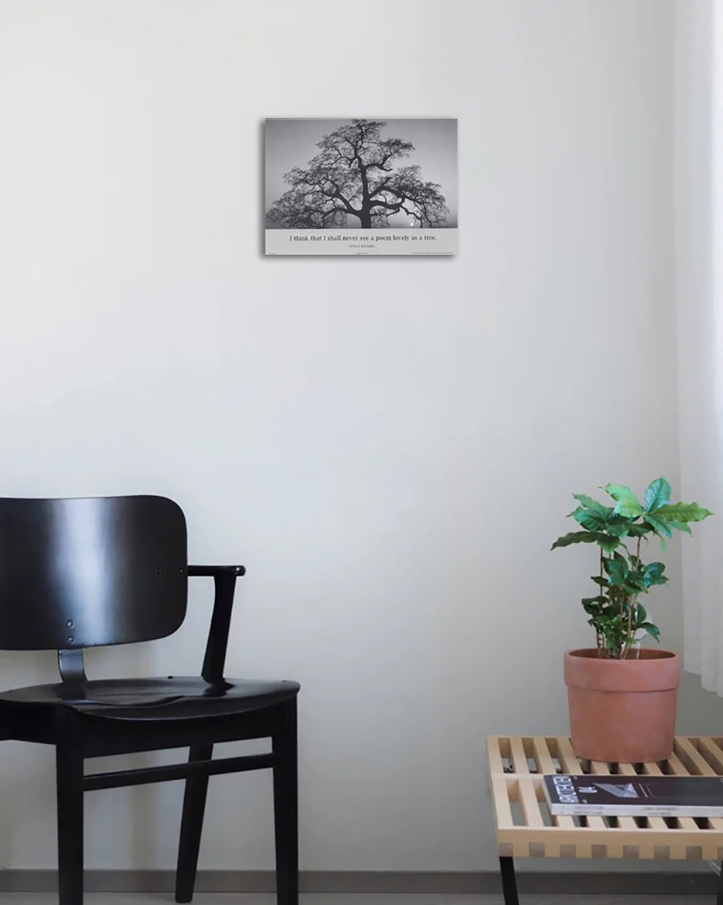 Vault W Artwork Ansel Adams Oak Tree On Paper by Ansel Adams Print ...