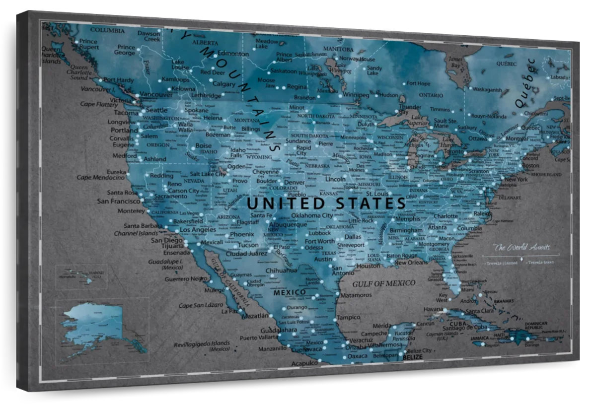 Elephant Stock Push Pin USA Map On Dark Gray | Wayfair