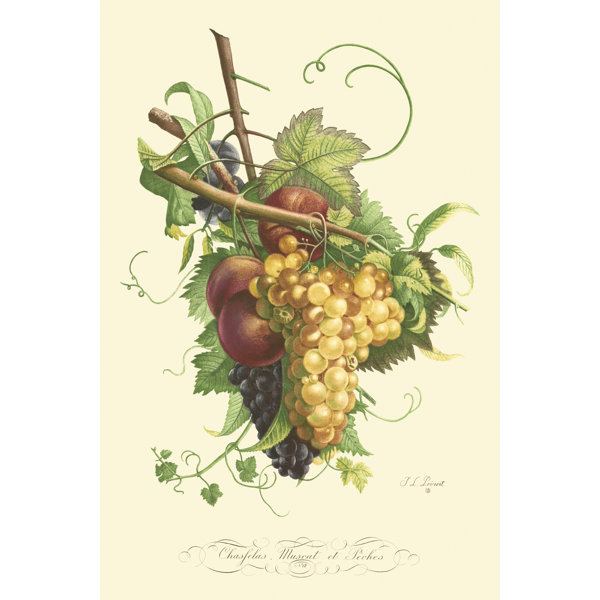 Brambly Cottage Plentiful Fruits II by T.L. Prevost - Wrapped Canvas ...