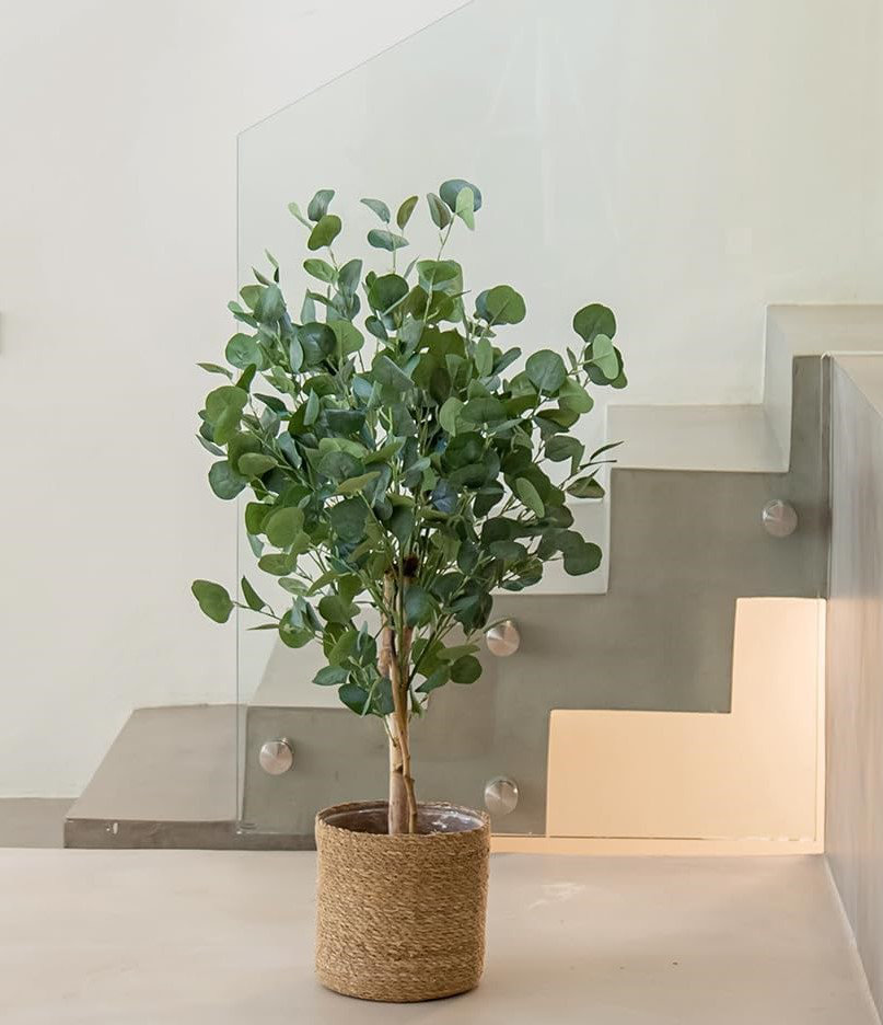 Primrue The Artificial Eucalyptus Tree, Fake Tree with Natural Wood ...