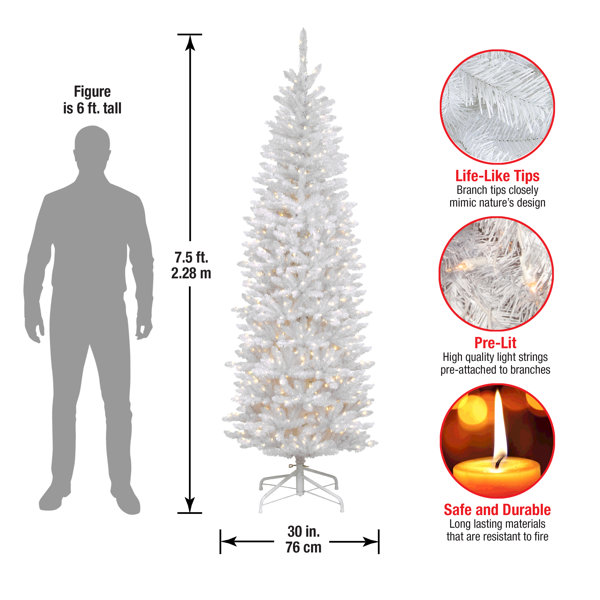 The Holiday Aisle® Kingswood Fir White Pencil Tree with Clear Lights ...
