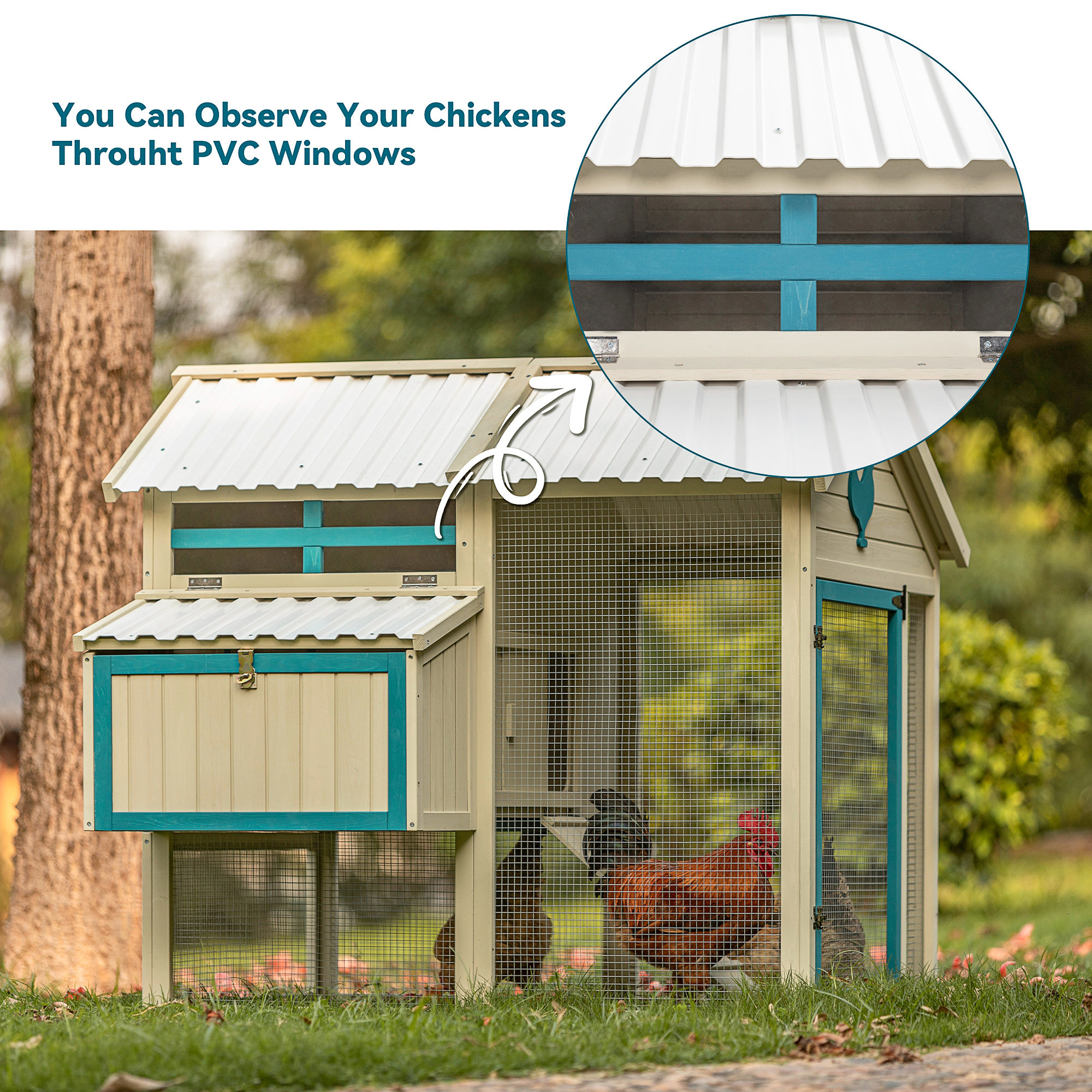 Tucker Murphy Pet™ Deylani Weather Resistant Chicken Hutch with Ramp ...