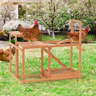 Tucker Murphy Pet™ Chicken Activity Play Swing Set With Chicken Perches ...