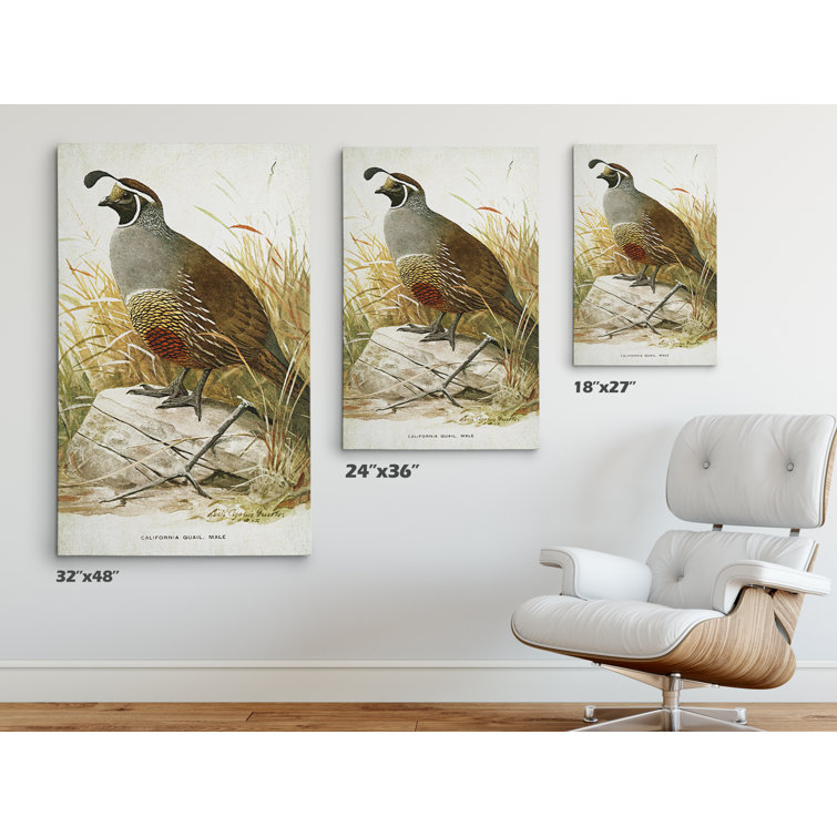 Alcott Hill® Aviary Drawing III On Canvas Print | Wayfair