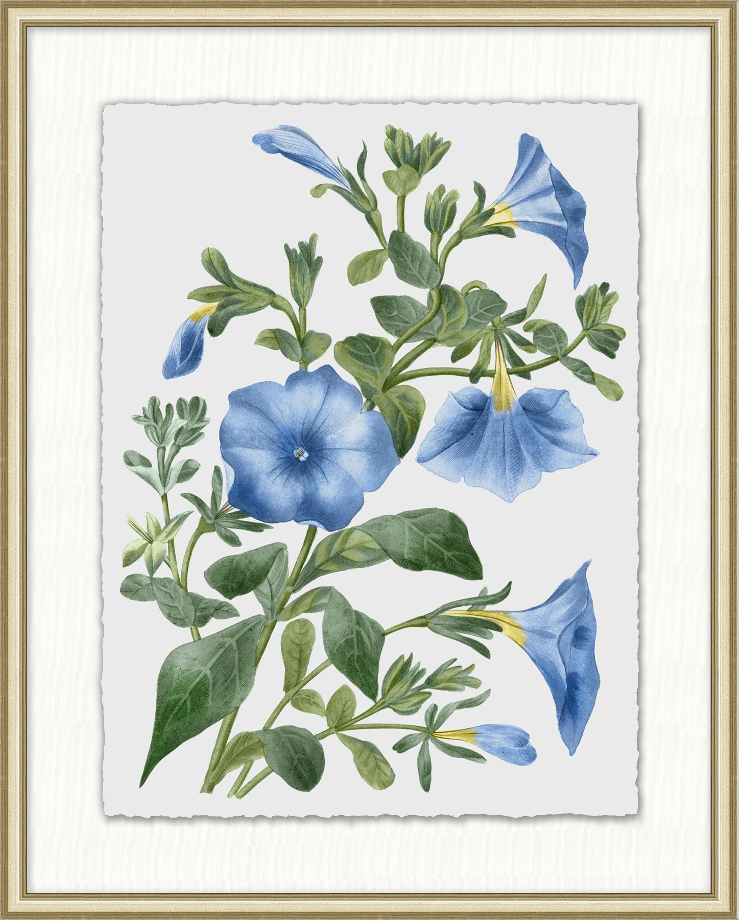 Wendover Art Group Floral Study 2 - Picture Frame Painting - Wayfair Canada