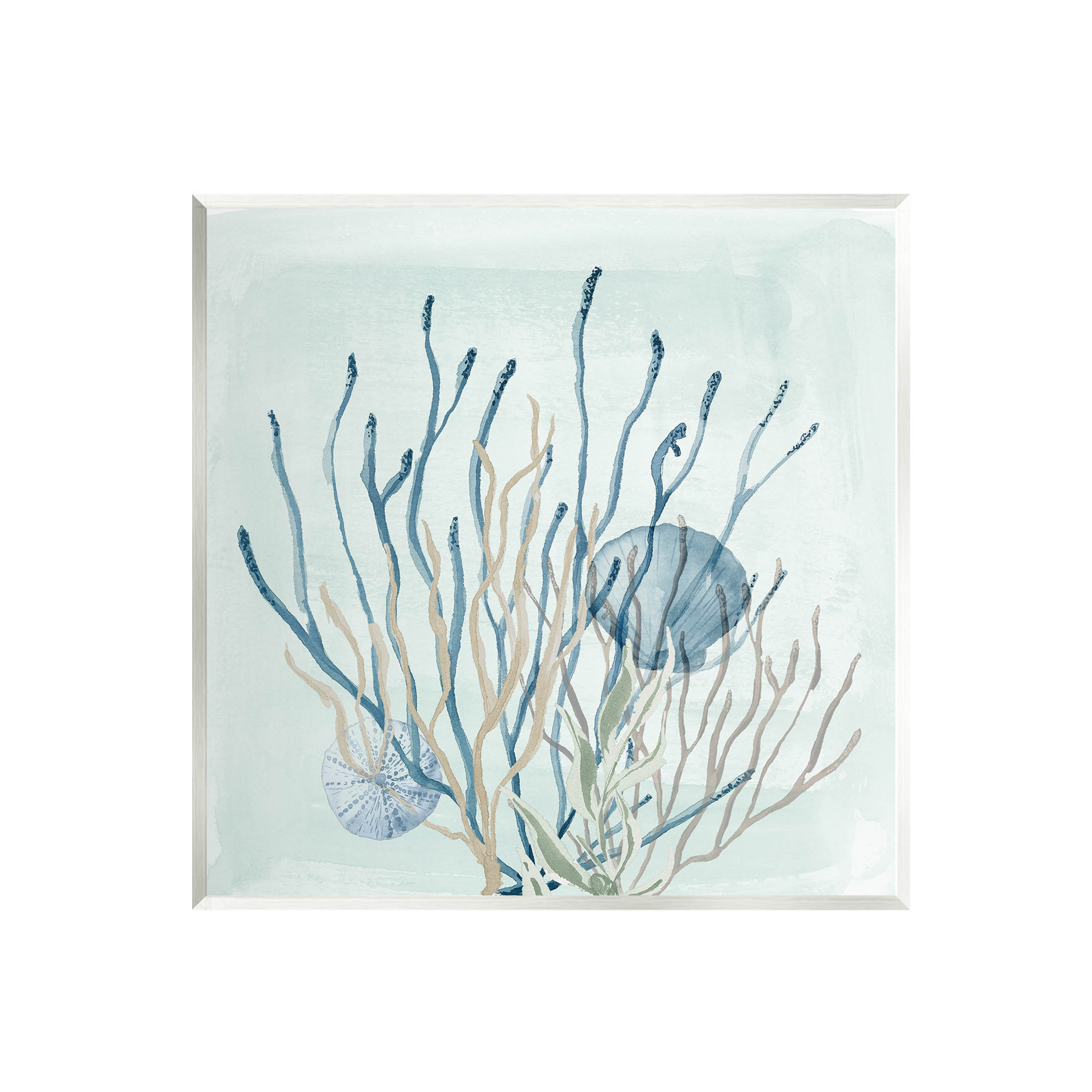 Stupell Industries Coral Reef Underwater Seashells Giclee Art By ...