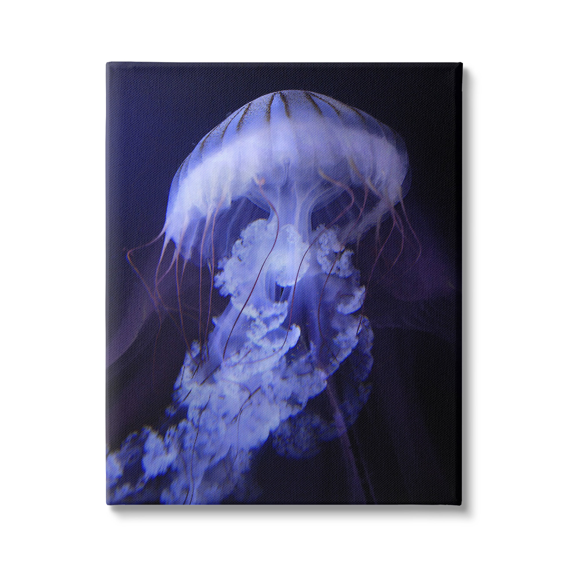 Stupell Industries Magical Purple Detailed Jellyfish Ocean Sea Life By ...