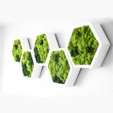 Ebern Designs Orange Tree Landscape - Wrapped Canvas Print & Reviews ...