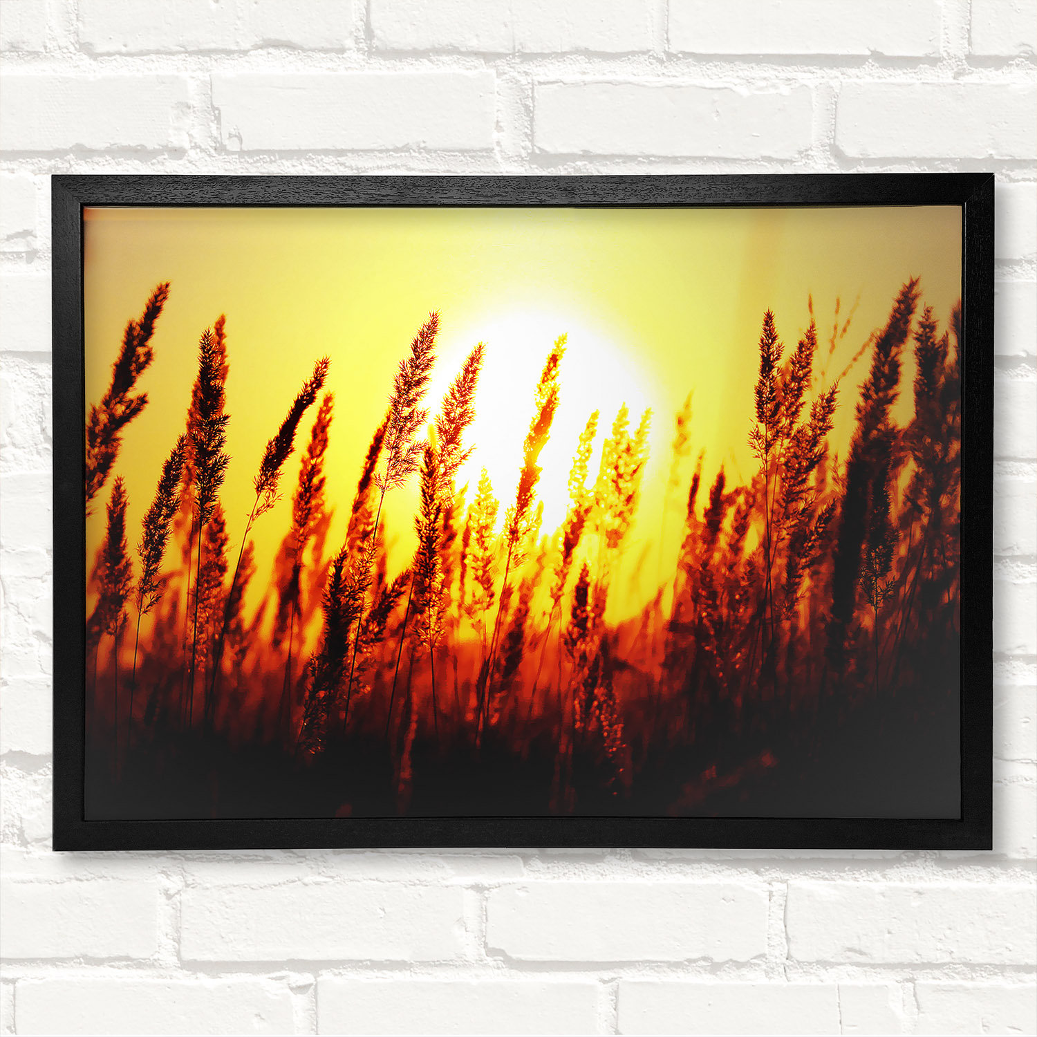 Alpen Home Beautiful Sun Rise Reeds - Closed Corner Frame Art Prints on ...