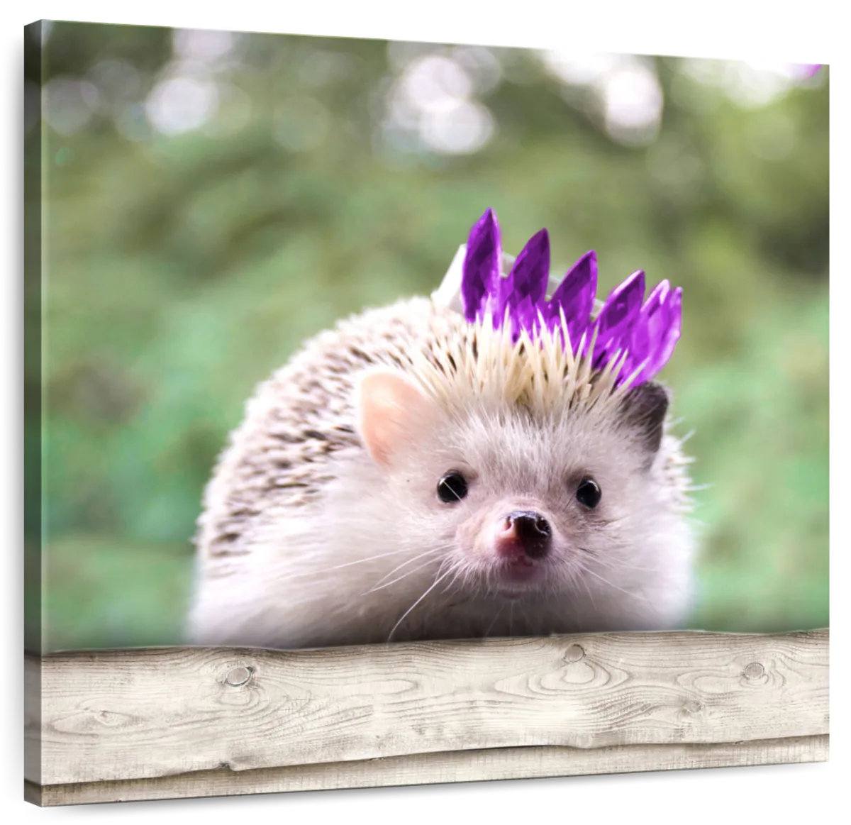 Ebern Designs Crowle Hedgehog With Crown | Wayfair