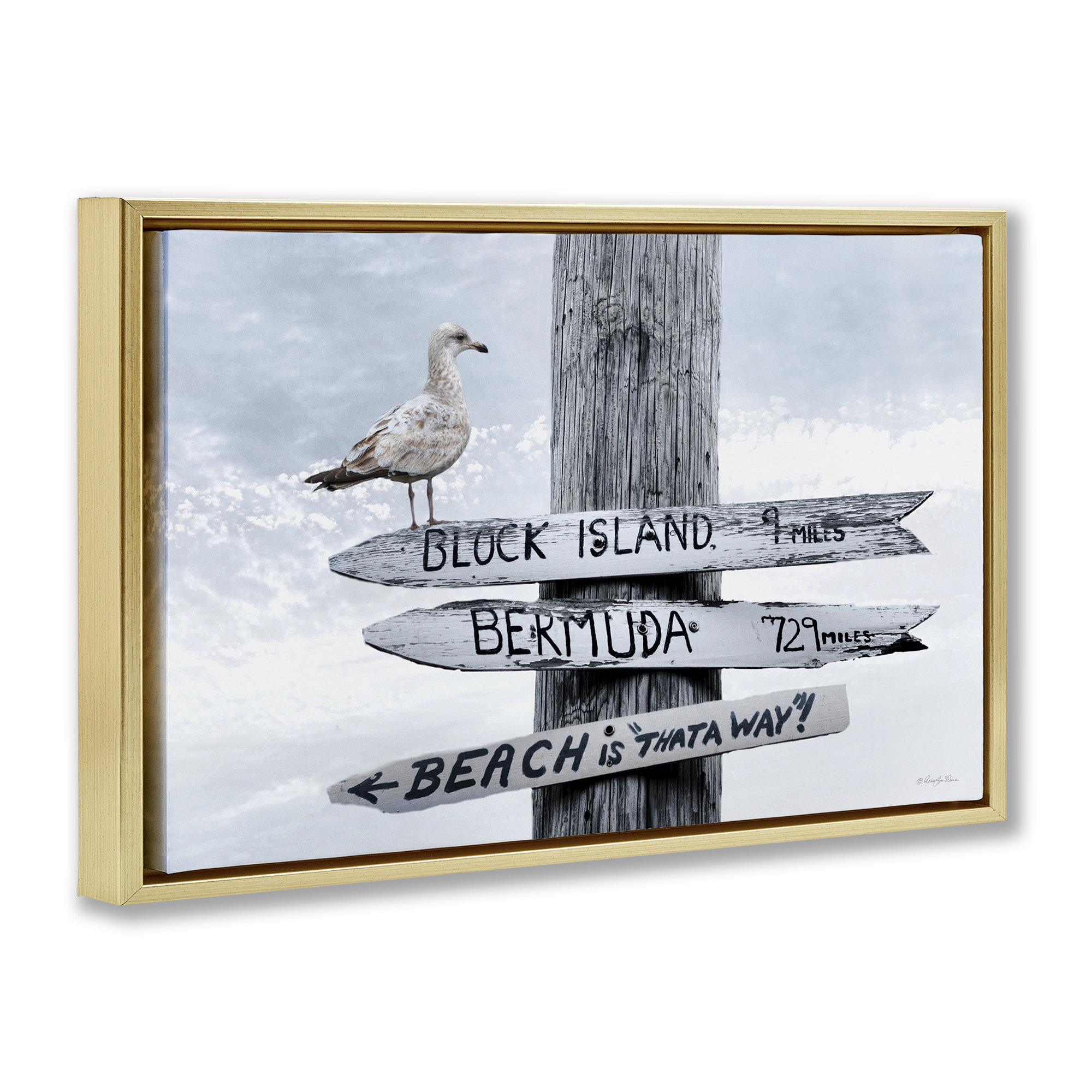 Latitude Run® Vacation Beach Signs with Seagull Floating Frame, design ...