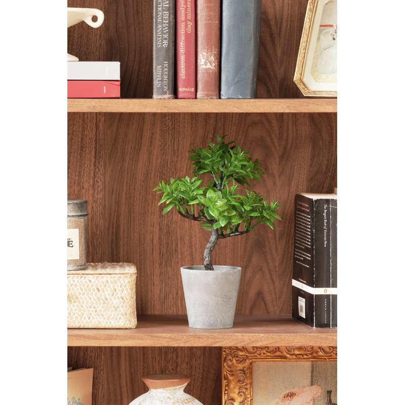 Primrue Small Leave Topiary In Pot | Wayfair