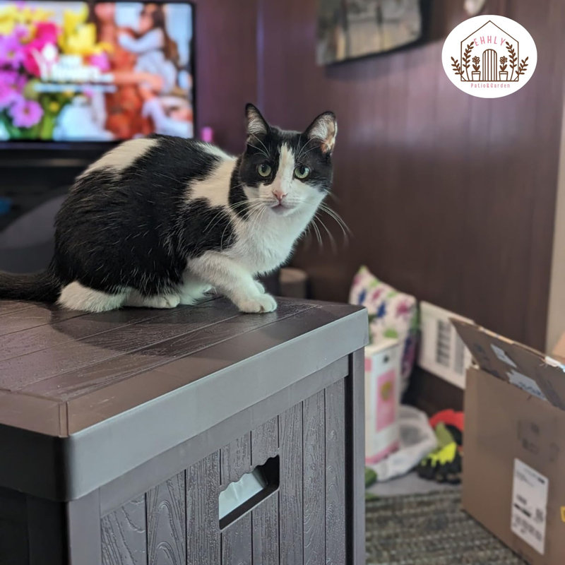 Archie & Oscar™ Outdoor Cat House for Winter Waterproof, Outside ...