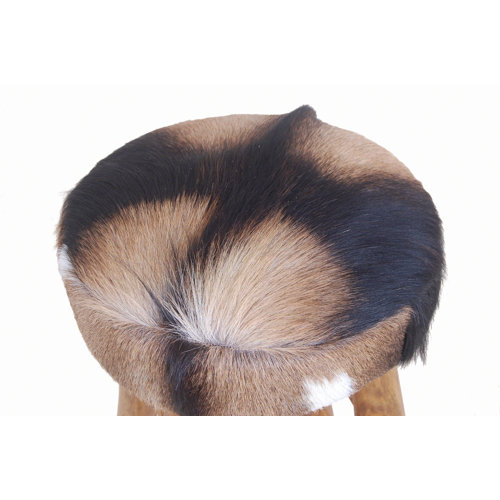 Alpen Home Hawthorn 80cm Stool & Reviews | Wayfair.co.uk