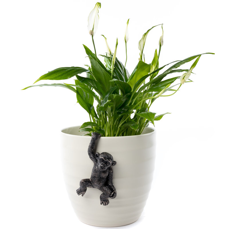 Trinx Chimpanzee Pot Buddy Pot Hanger In Gift Box | Wayfair