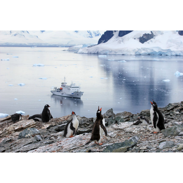 Breakwater Bay Aadiv Penguins On Canvas by Reisegraf Photograph | Wayfair