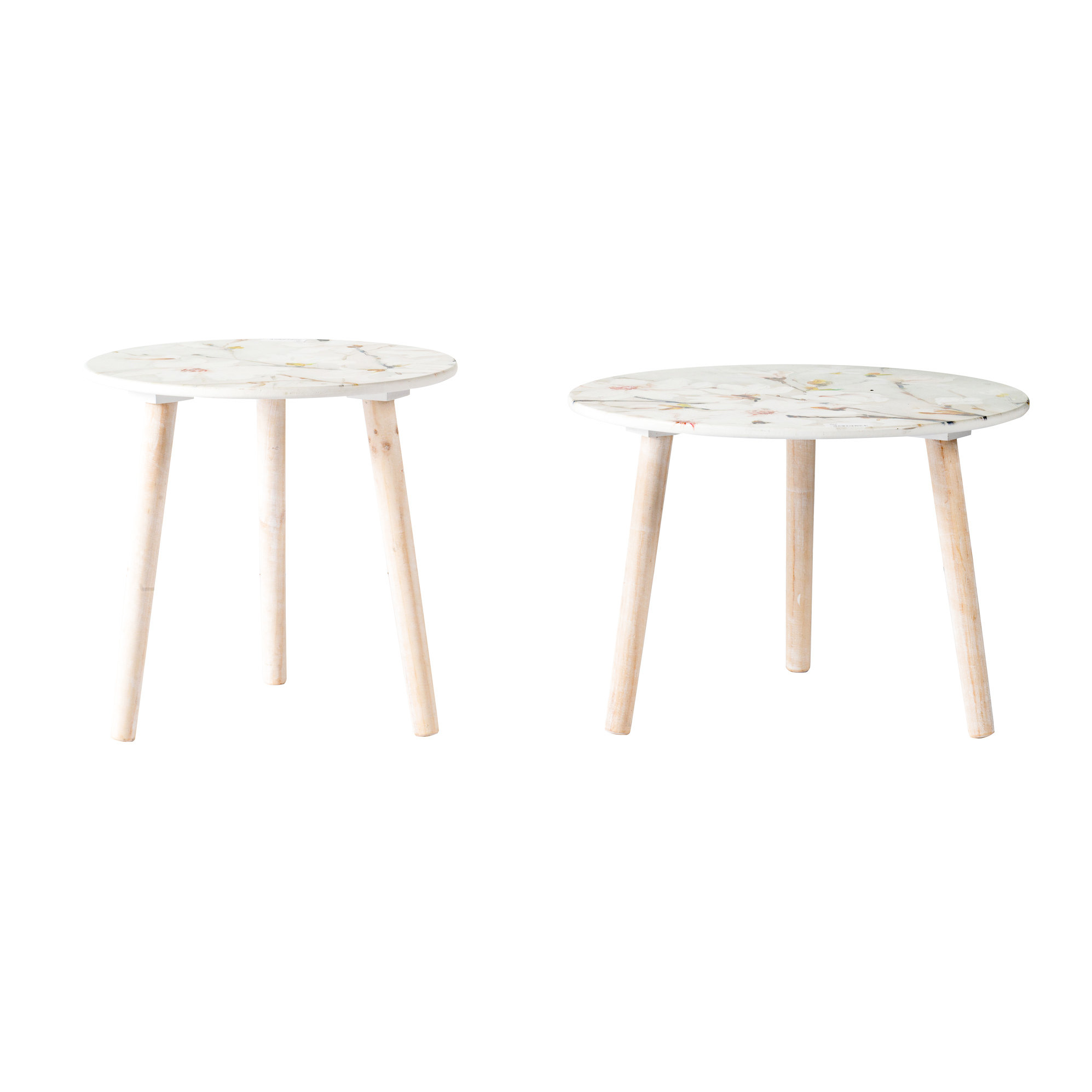 Latitude Run® Nature Inspired Side Tables Duo - , White, Painted Floral ...
