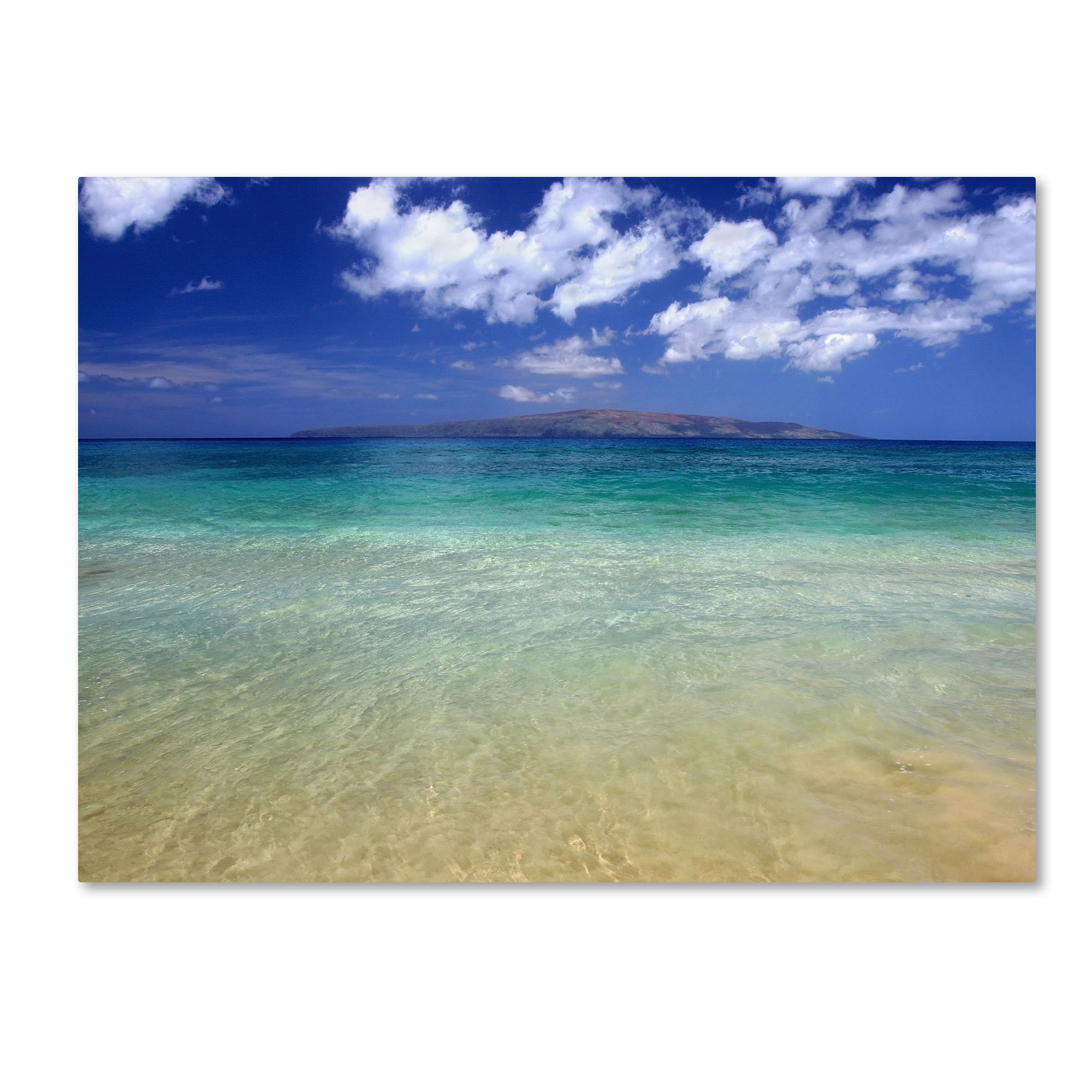 Highland Dunes Hawaii Blue Beach Photographic Print on Canvas & Reviews ...