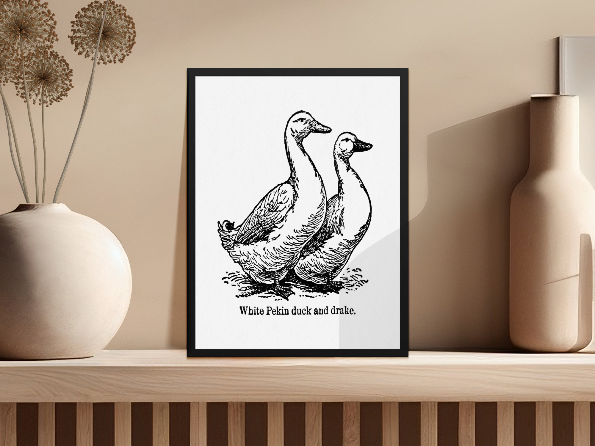 Brayden Studio White Pekin Duck and Drake Line Art Illustration Framed ...