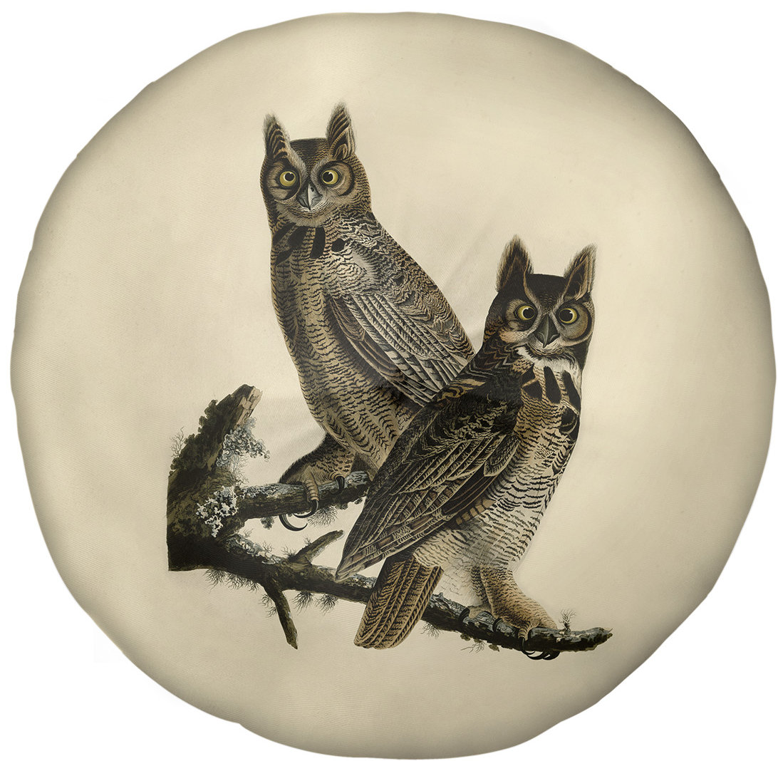 ArtVerse John James Audubon Great Horned Owl Floor Pillow | Wayfair