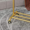 Trent Austin Design® Gold Pipe Clothing Rack Garment Rack With Bottom ...