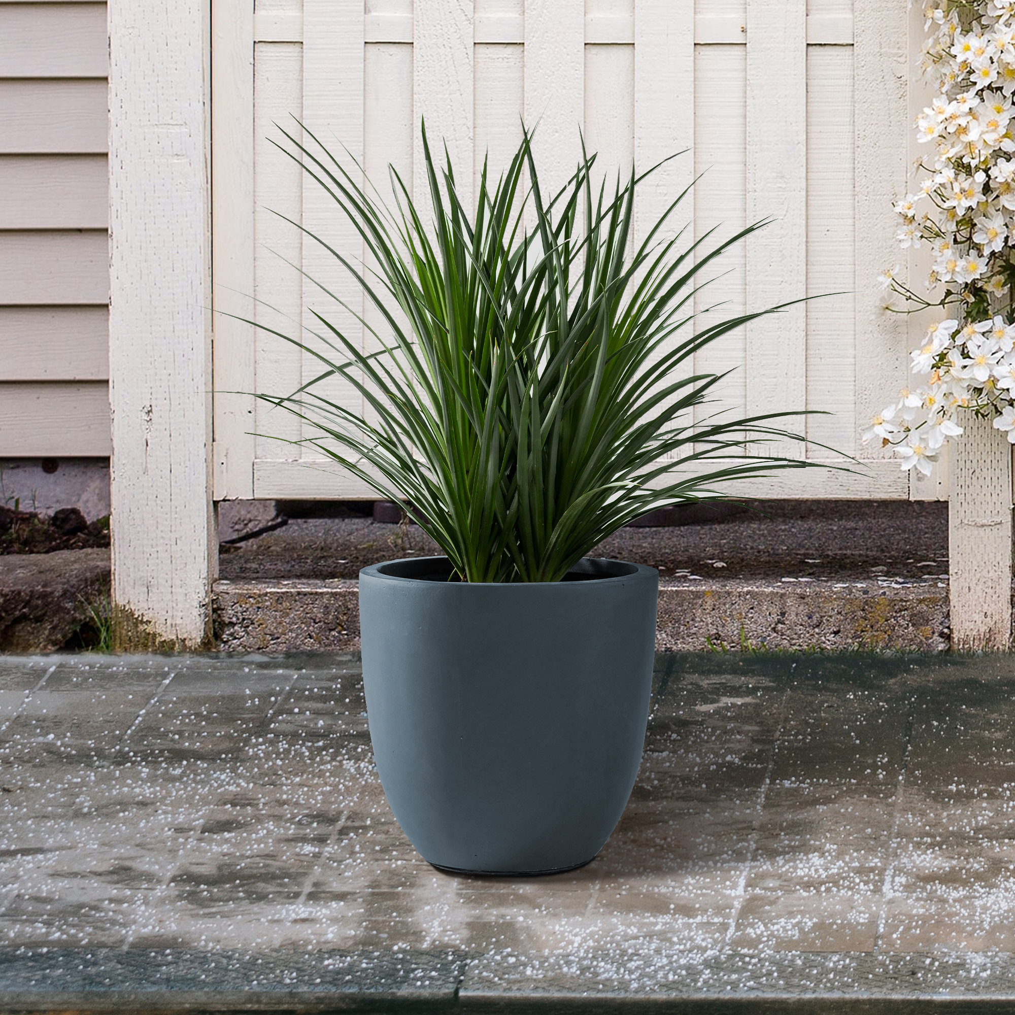 Latitude Run® Rubber Pot Planter | Wayfair
