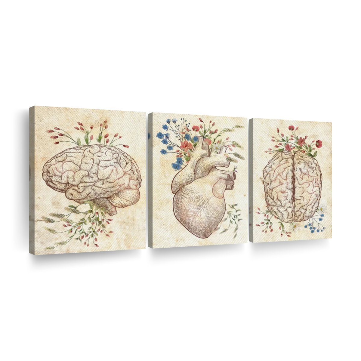 Trinx Organs Floral On Canvas 3 Pieces Set - Wayfair Canada
