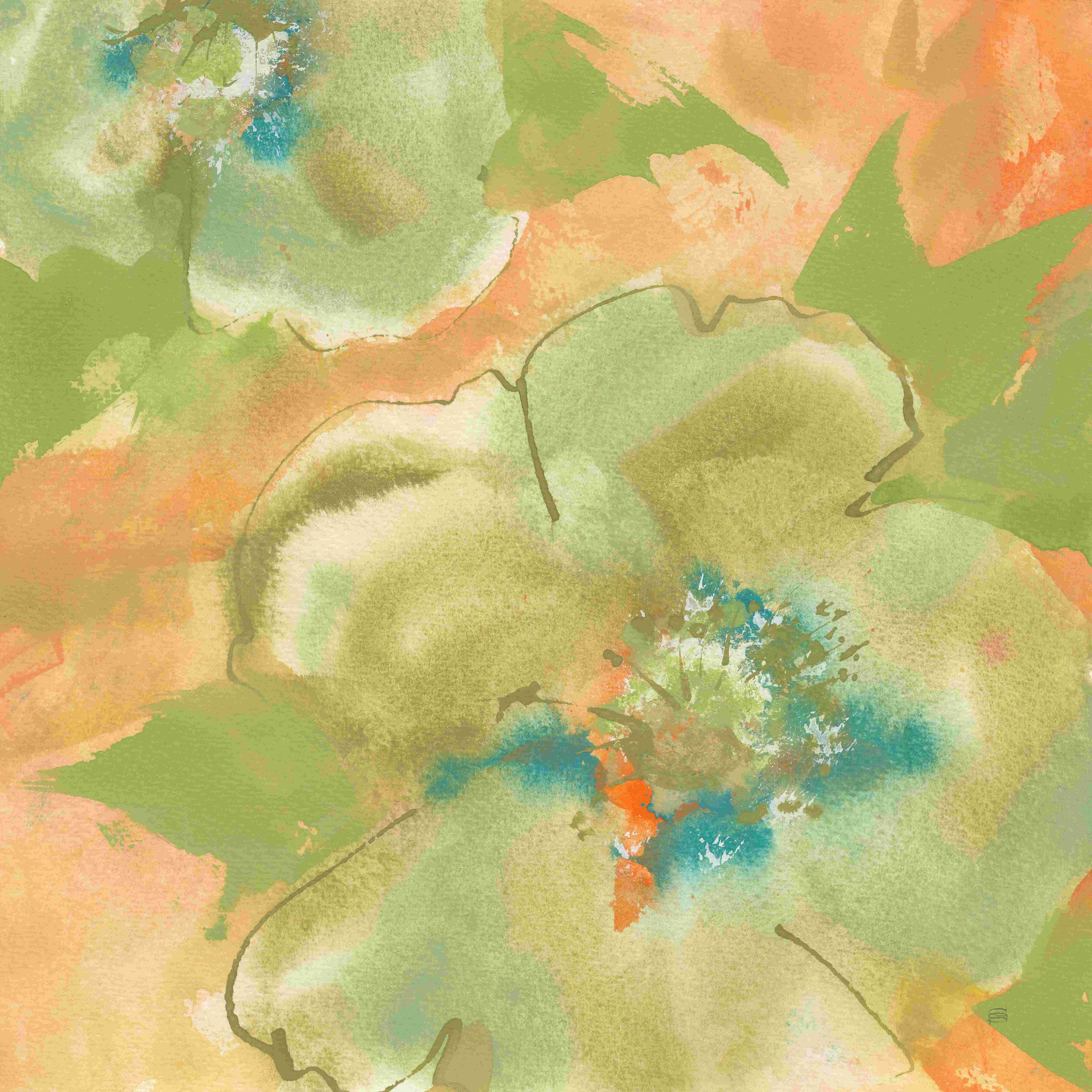 Winston Porter Olive Poppy II by Chris Paschke - Wrapped Canvas Print ...