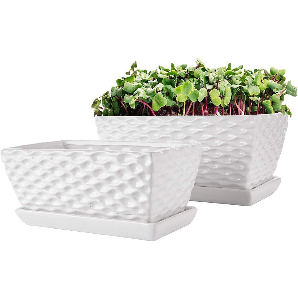 Wrought Studio™ Flower Pots,Rectangular Modern White Ceramic Succulent ...