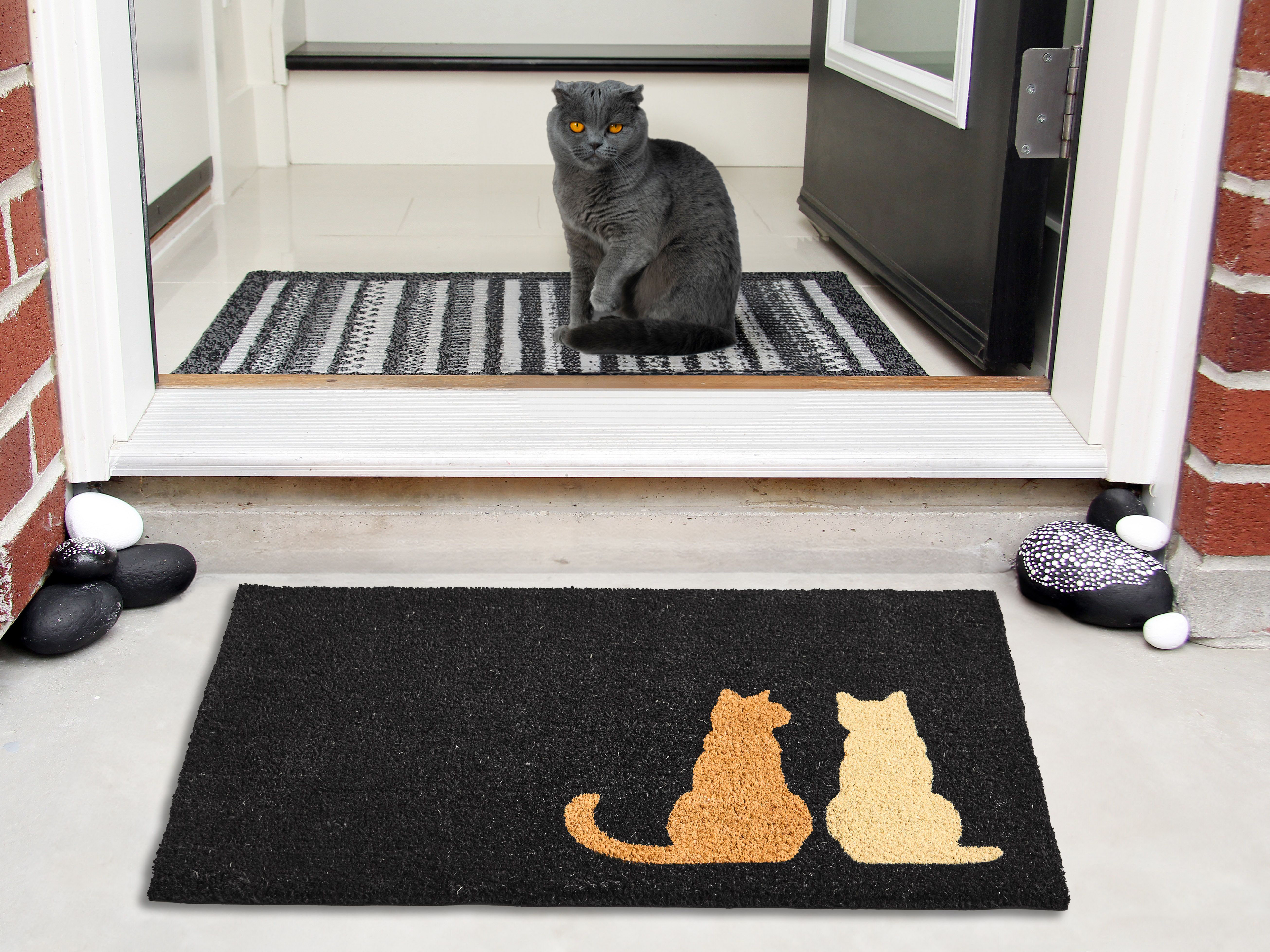 Lark Manor Doormat NAPALIT Black 60 x 90 cm Cat Coir | Wayfair.co.uk