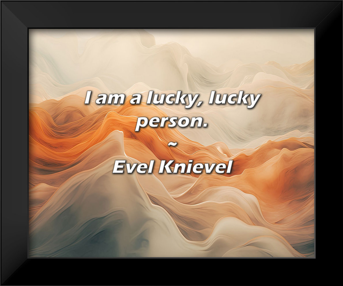 Ivy Bronx Evel Knievel Quote: I am a lucky, lucky person. | Wayfair