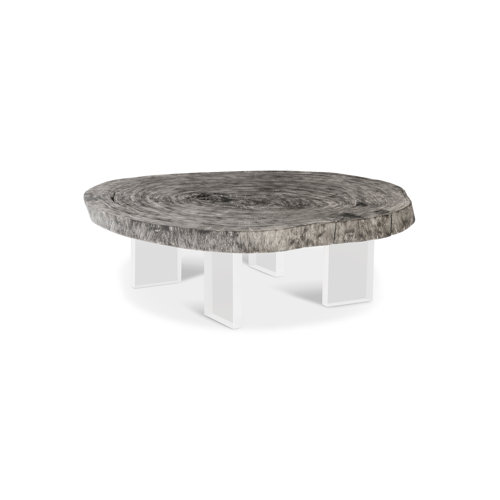 Phillips Collection Coffee Table | Perigold