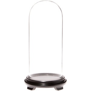 Red Barrel Studio® Keiarra 5.5" x 13" Glass Display Dome Cloche | Wayfair