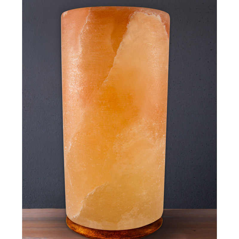 Bloomsbury Market Pasternak Salt Lamp | Wayfair