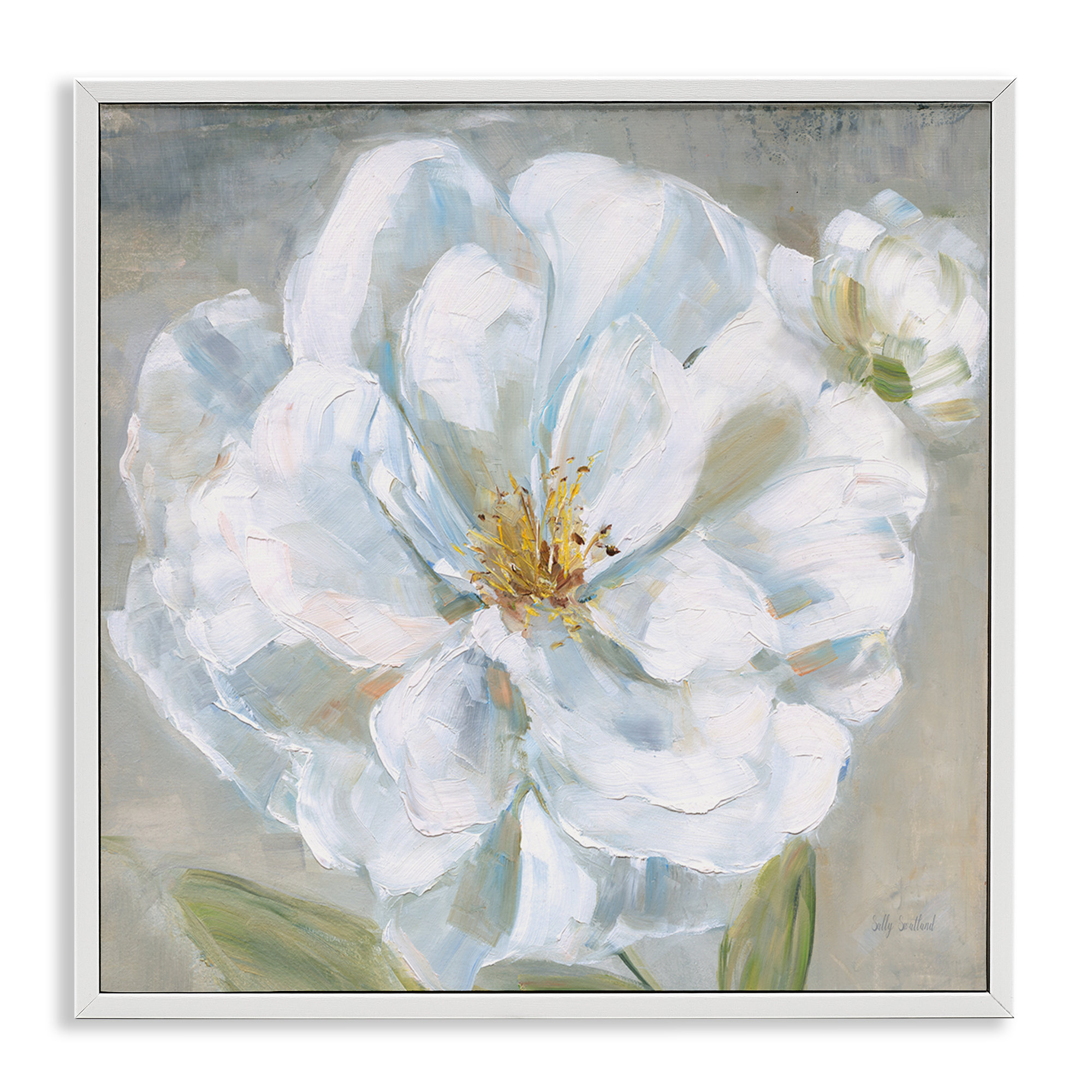 Stupell Industries Curling Flower Petals Framed Giclee Art by Sally ...