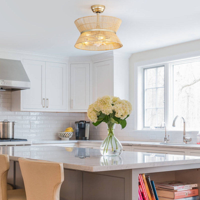 Bay Isle Home™ Modern Rattan Ceiling Fan With Remote Control & Reviews ...