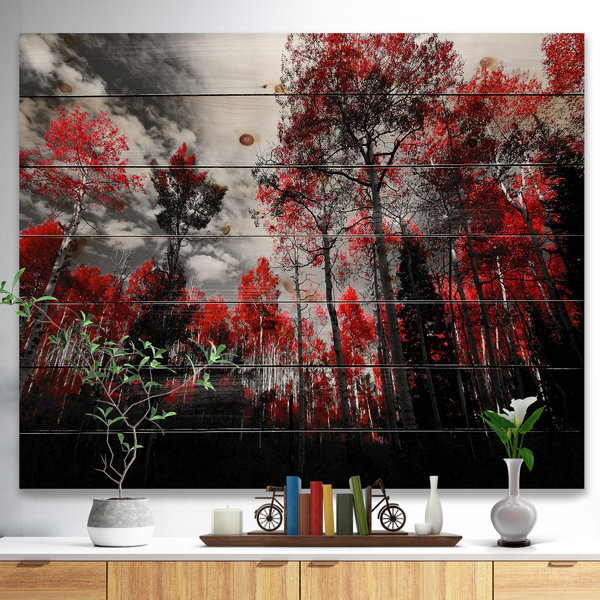 Millwood Pines Red Tall Trees In White Forest " Red Tall Trees In White ...