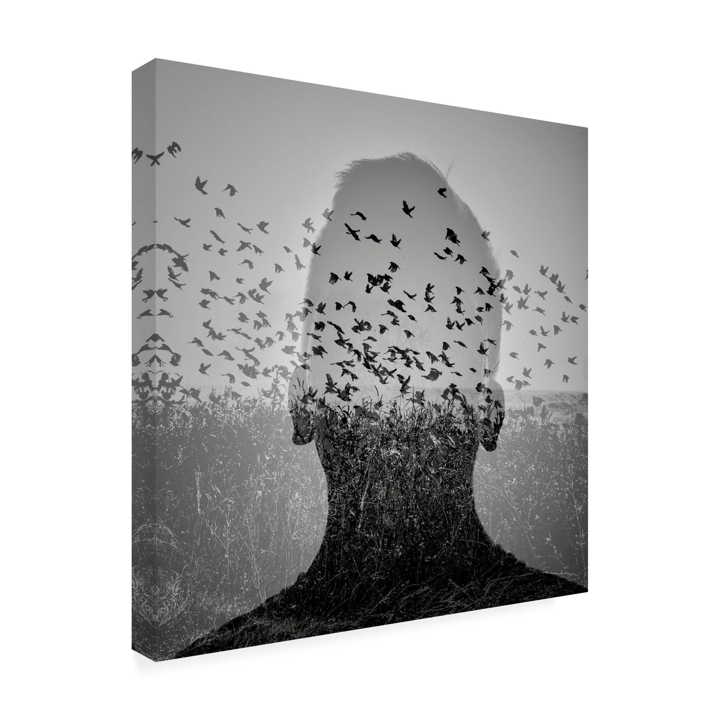 Trademark Fine Art Modern & Contemporary Beautiful Mind 2 On Canvas by ...