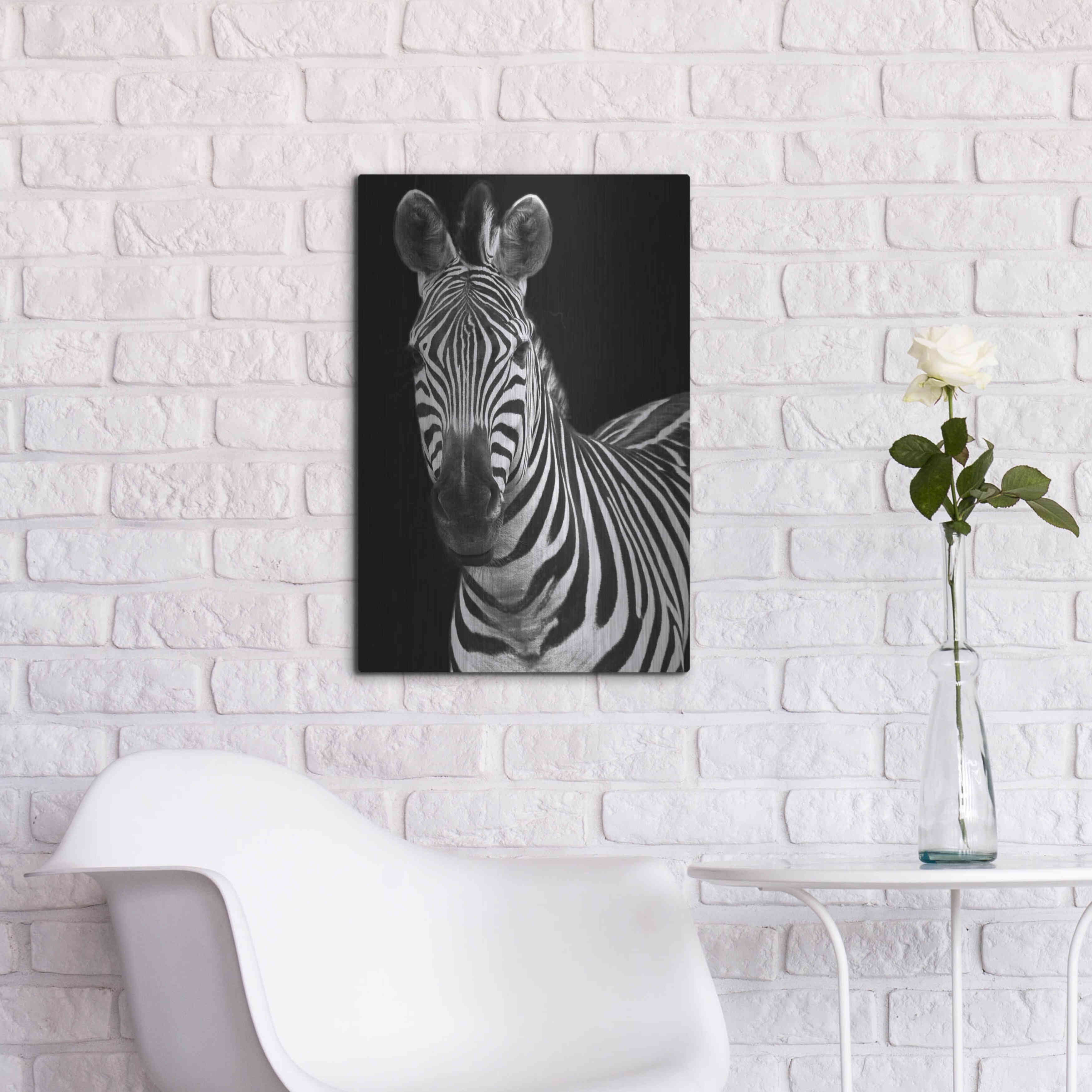 Dakota Fields 'Zebra II' by Debra Van Swearingen, Metal Wall Art, 16 ...
