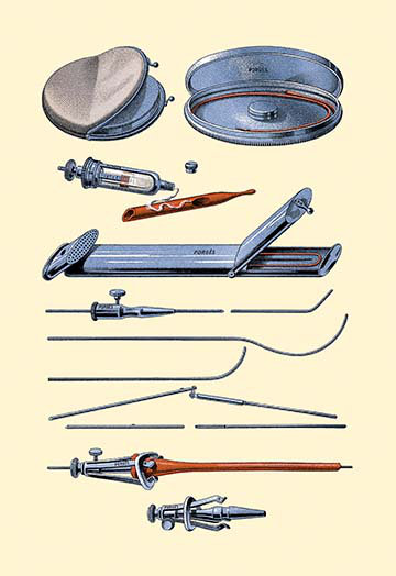 Buyenlarge 'Mandrils' by Jules Porges Graphic Art | Wayfair